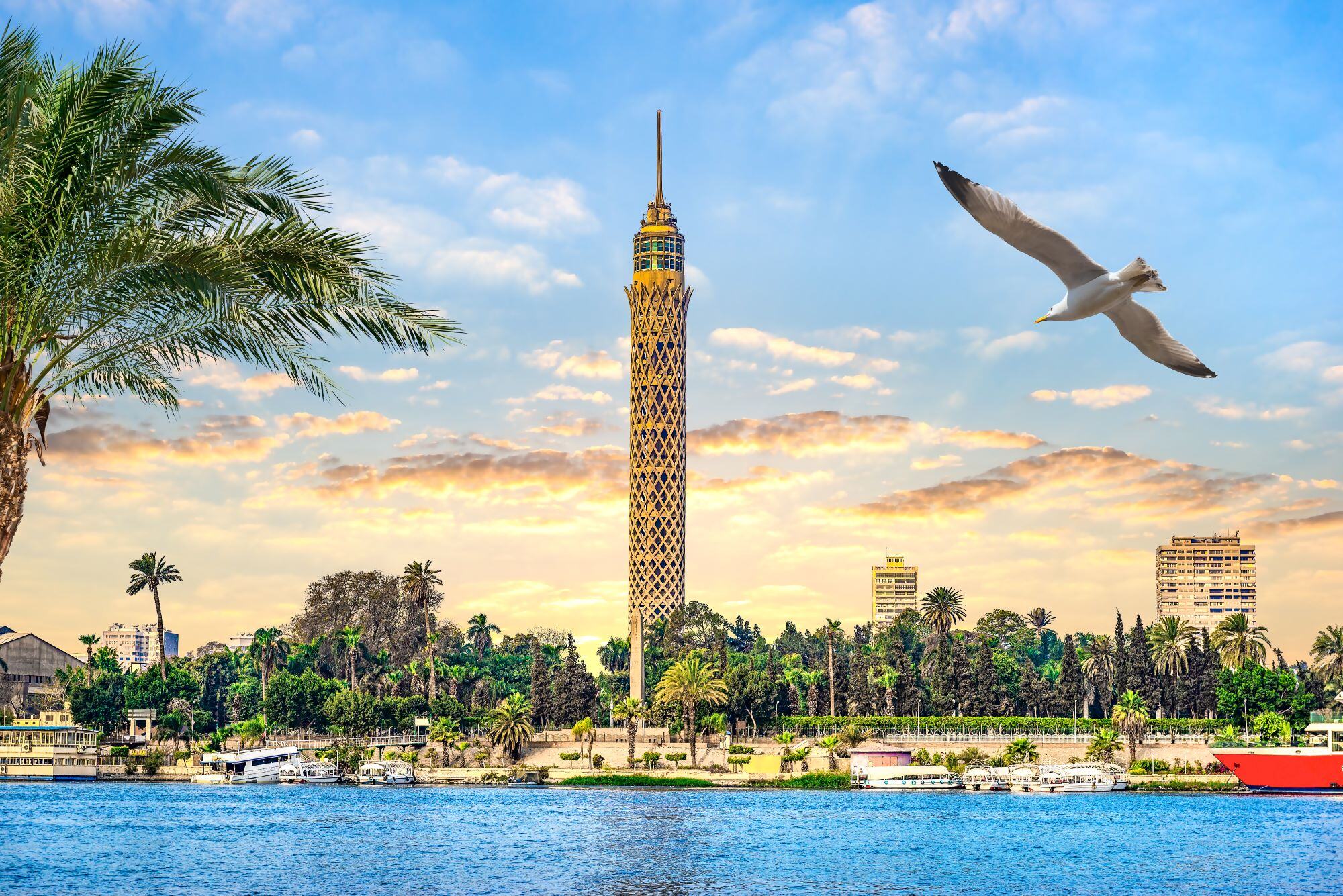 Contact our Egyptian Team
